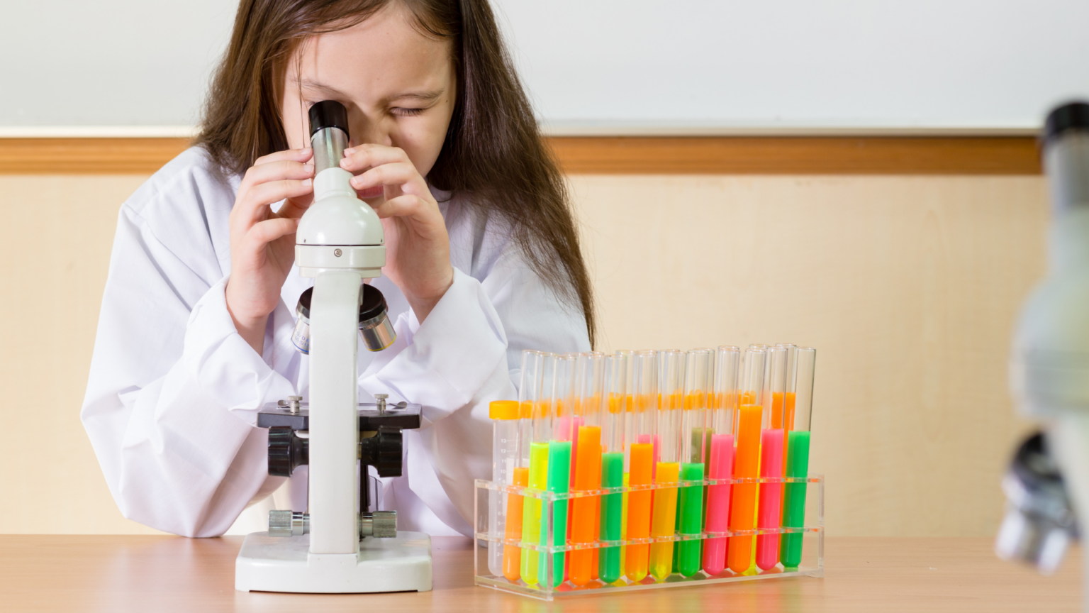 Best Pocket Microscope for Kids – My STEM Toys