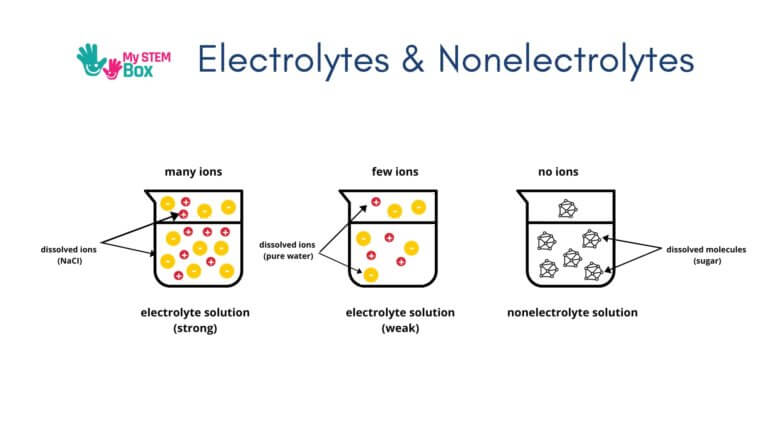 Does Salt Water Conduct Electricity? – My STEM Toys
