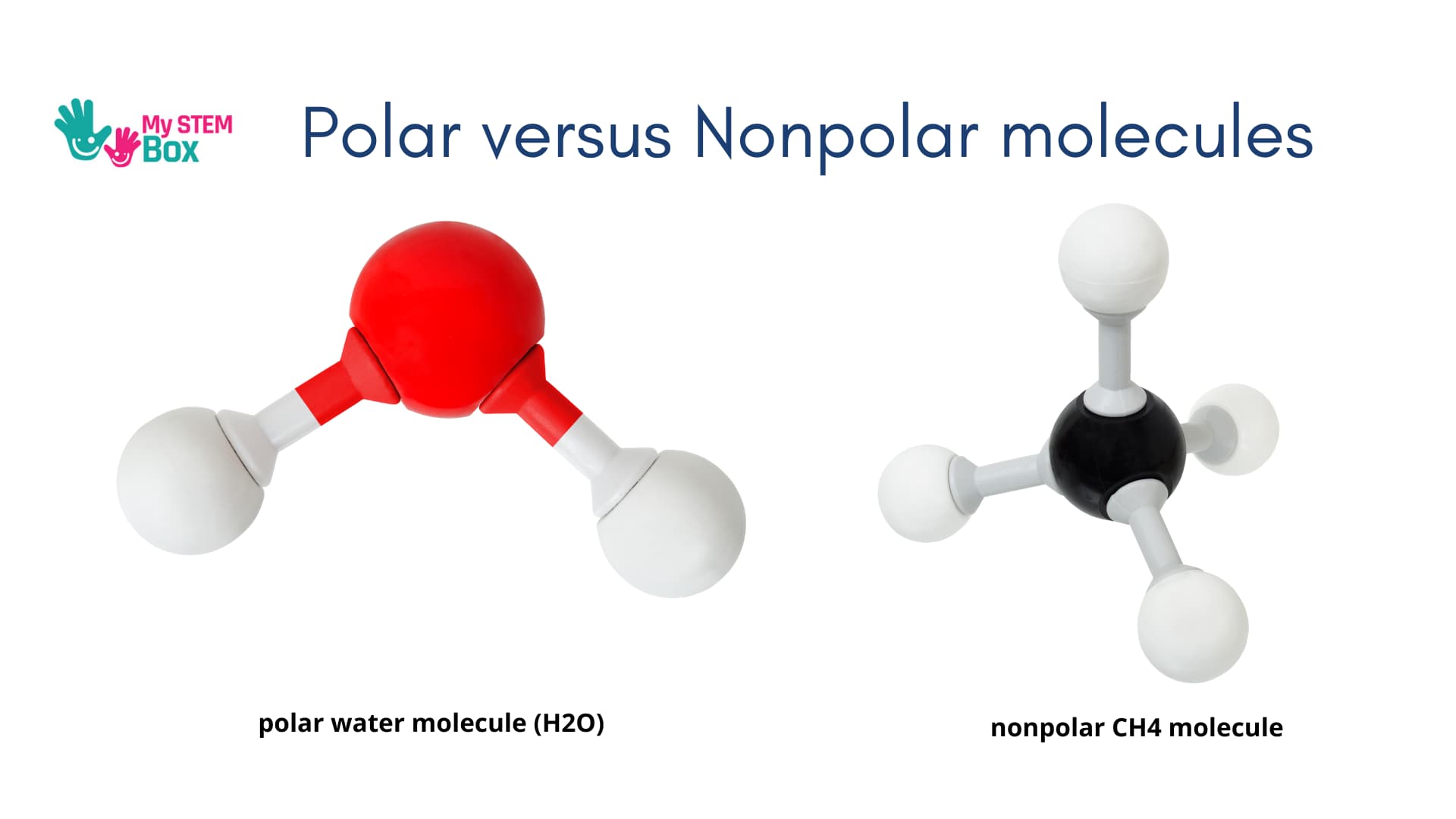 Why Do Oil And Water Not Mix? – My STEM Toys